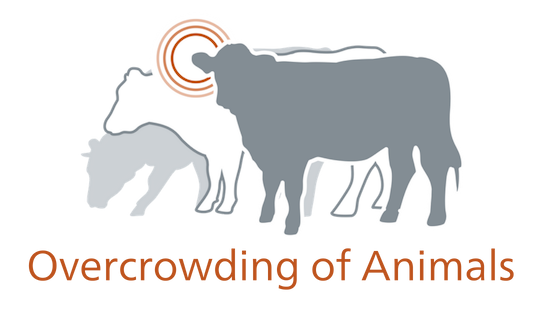 Calf and cow gut health management with Alltech’s BIO-MOS.