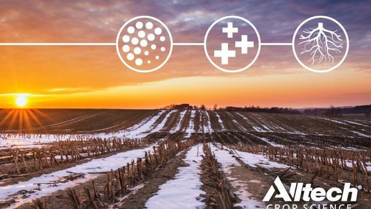 Alltech Crop Science - Your Technical Crop Partner