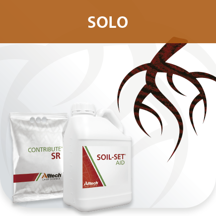 Agroglobal - ACS Portugal 2021