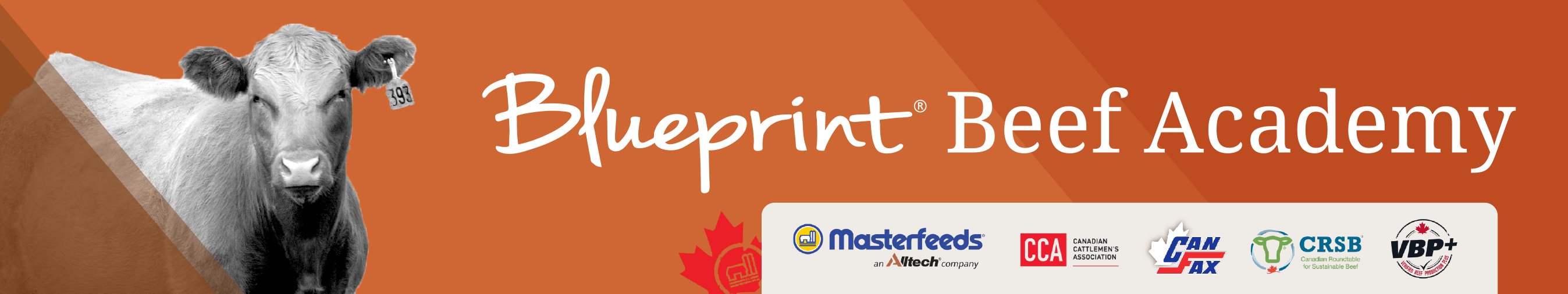 Blueprint Beef Academy | Alltech Canada | 2020