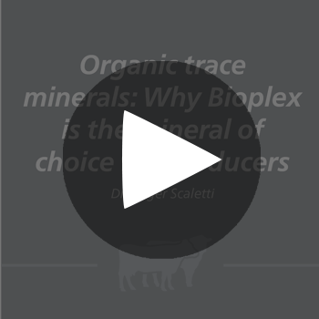 Alltech Ruminant Webinar Series | 2020