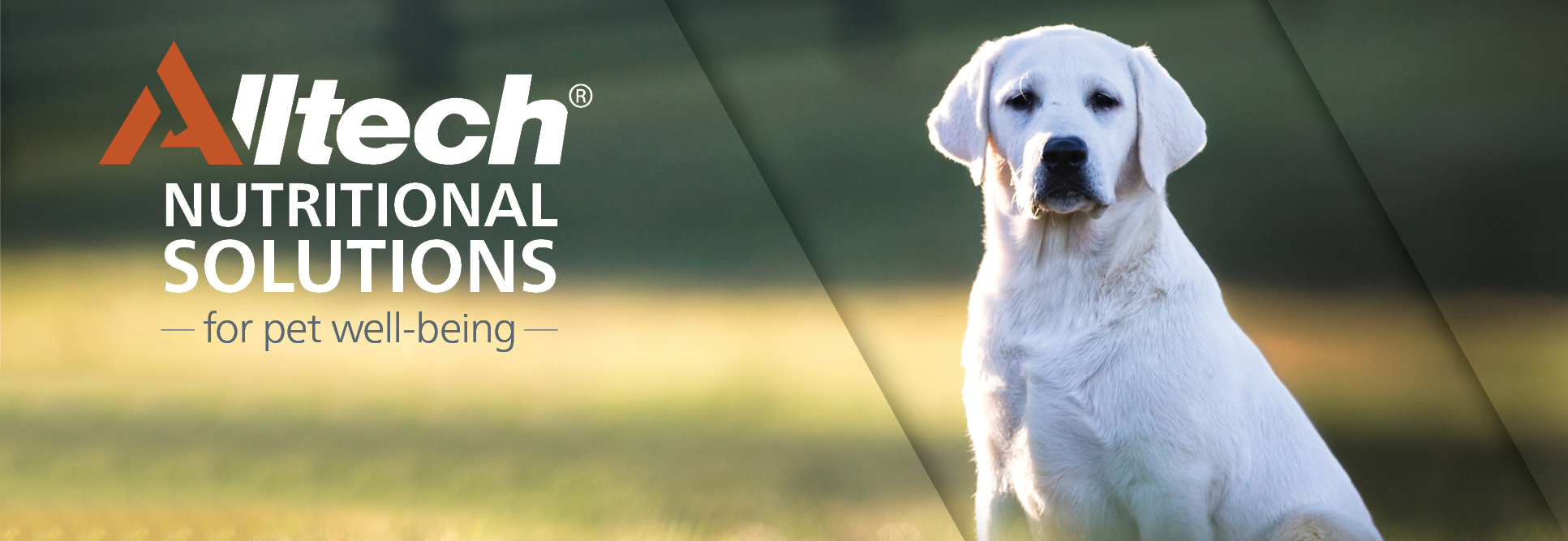 Alltech Canada Nutritional Solutions for Pet Well-Being