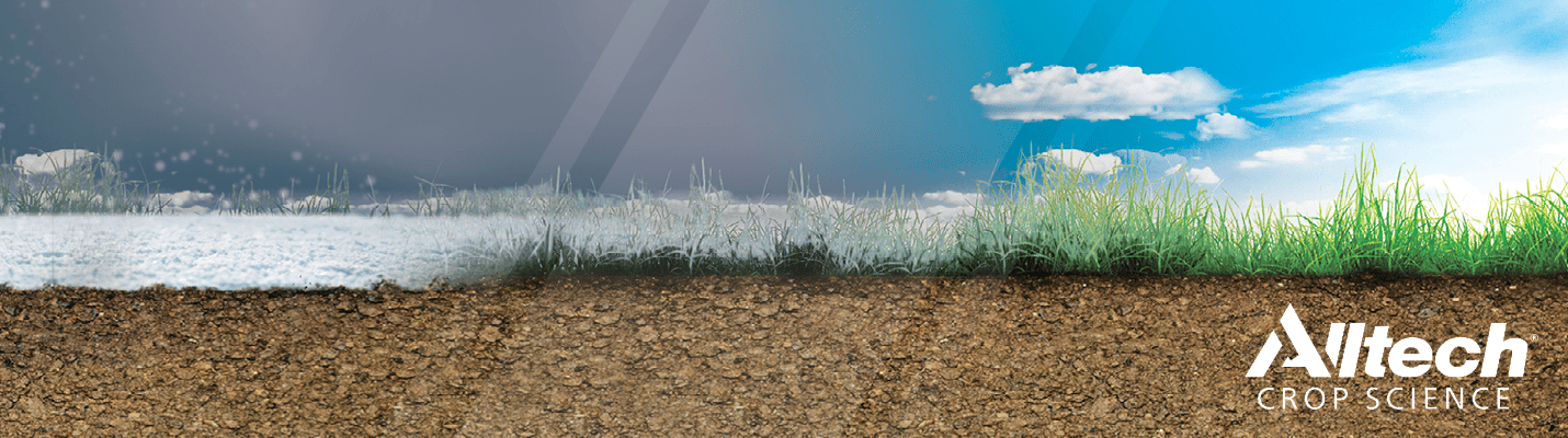 Alltech Canada Nutritional Solutions for Pet Well-Being