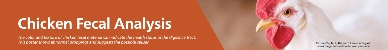 FREE Chicken Fecal Analysis Poster