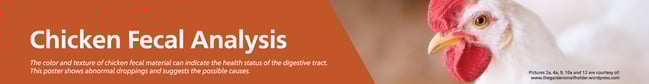 FREE Chicken Fecal Analysis Poster