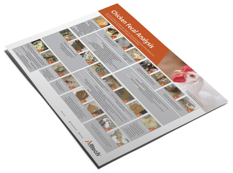 FREE Chicken Fecal Analysis Poster