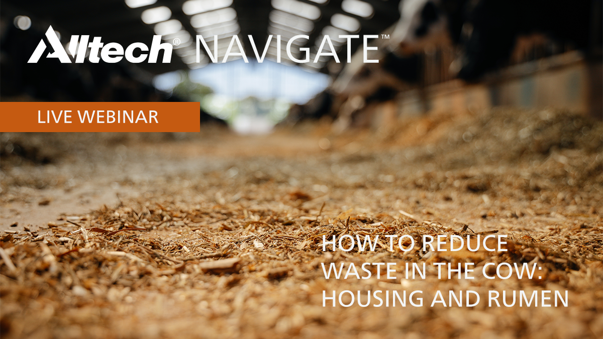Alltech UK Navigate webinar series 2020