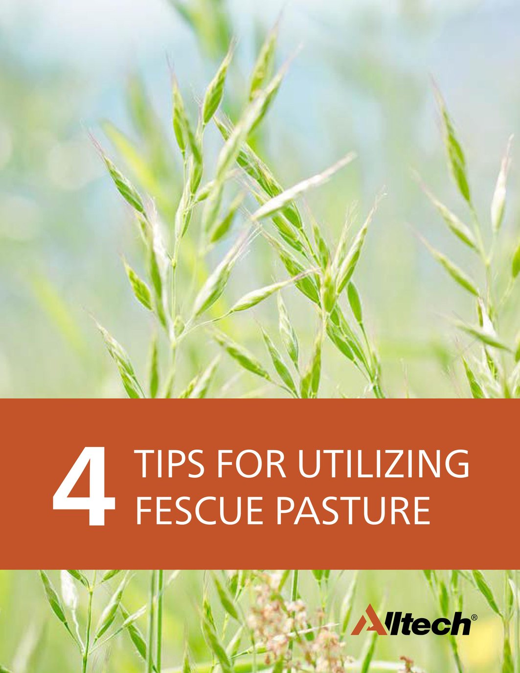 FEB-200™ a nutritional supplement for livestock grazing tall fescue