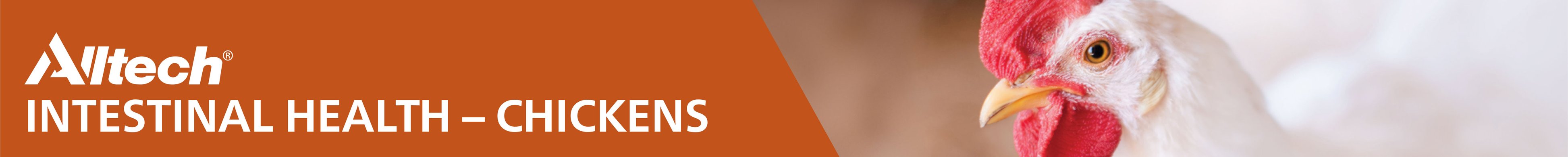 FREE Chicken Intestinal Health Poster