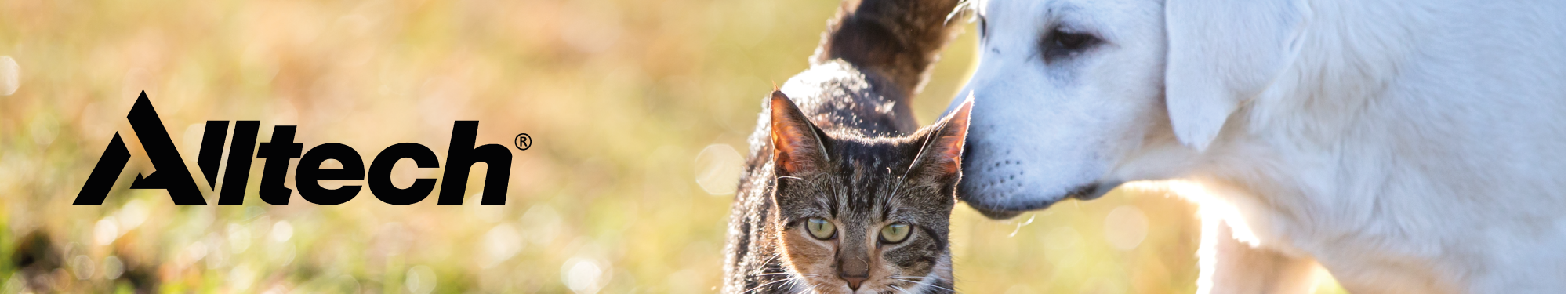 Check out Alltech's pet solutions video series