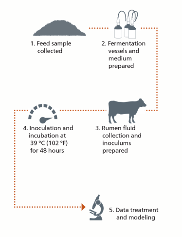 Alltech® Canada Feed Efficiency Video Series | Dairy