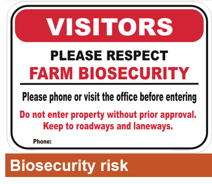 Alltech Pig Knowledge Hub - Biosecurity