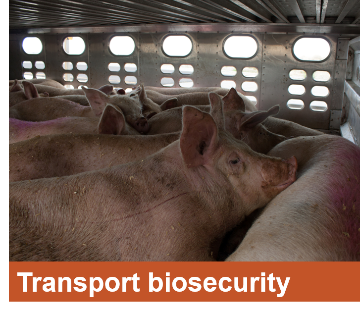 Alltech Pig Knowledge Hub - Biosecurity