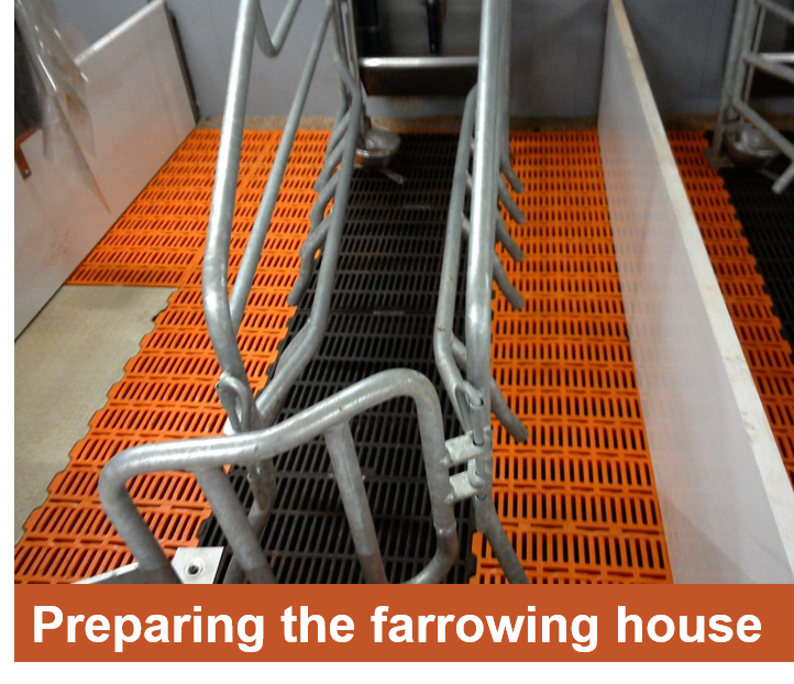 Alltech Pig Knowledge Hub - Farrowing House
