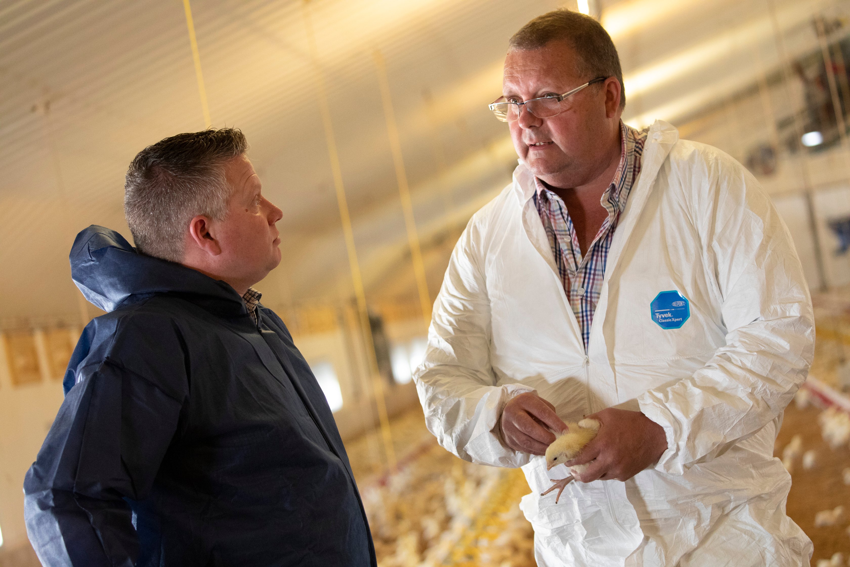Alltech Poultry Solutions