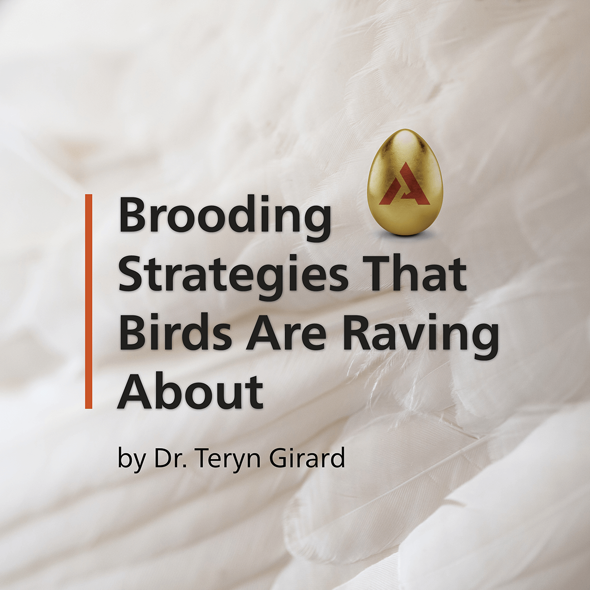 Blueprint Beef Academy | Alltech Canada | 2020