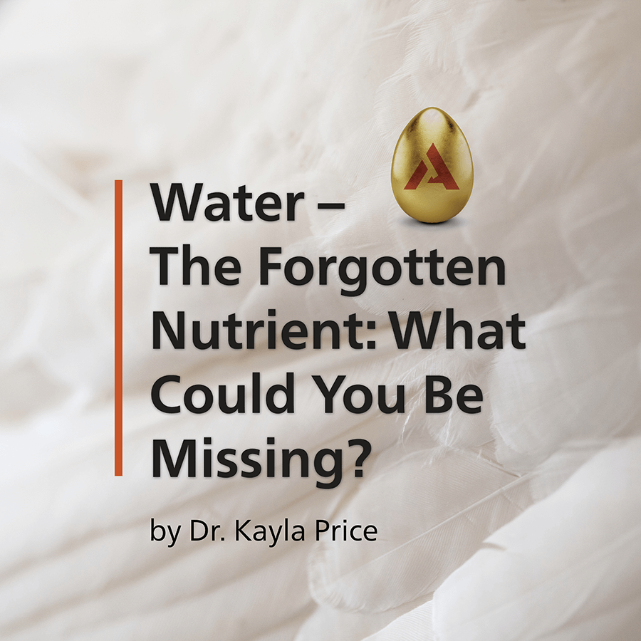 Blueprint Beef Academy | Alltech Canada | 2020