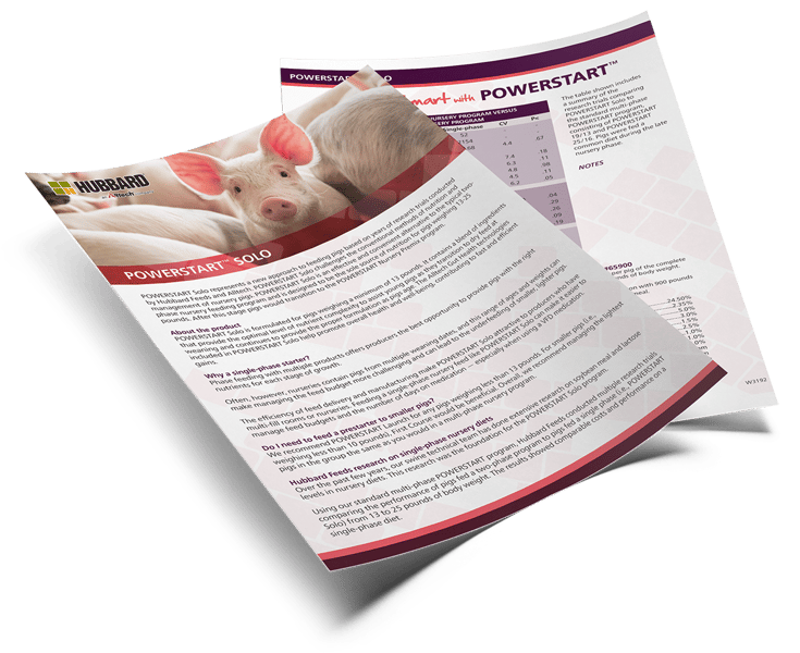 Alltech® Pork Team — Research