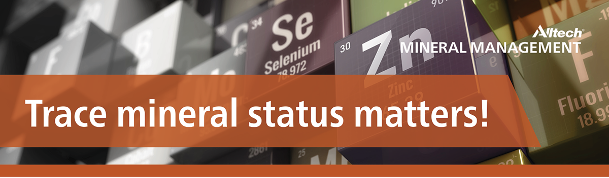 FREE Trace Minerals Benefits for Beef Poster