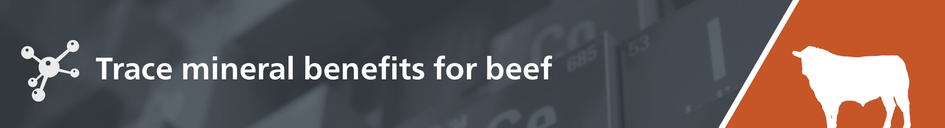 FREE Trace Minerals Benefits for Beef Poster