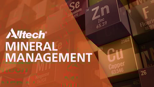 Alltech® Mineral Management