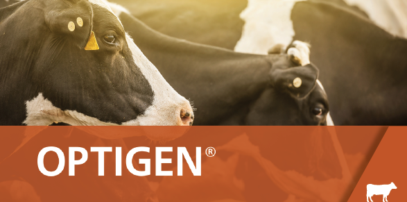 Optigen®