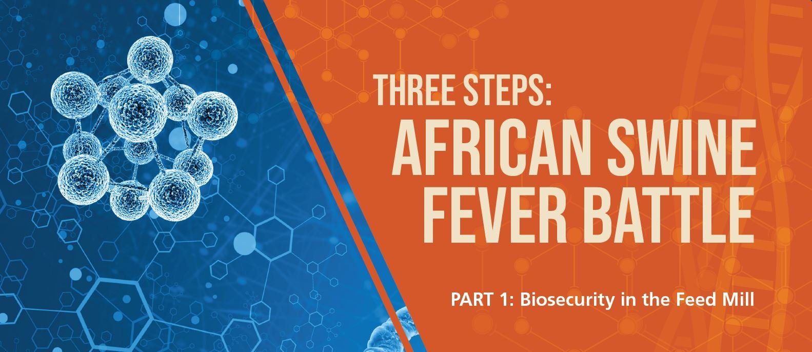 African Swine Fever and Animal Immune Function