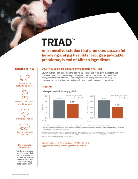 Alltech® Pork Team — Research