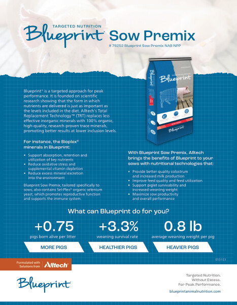 Alltech® Pork Team — Research