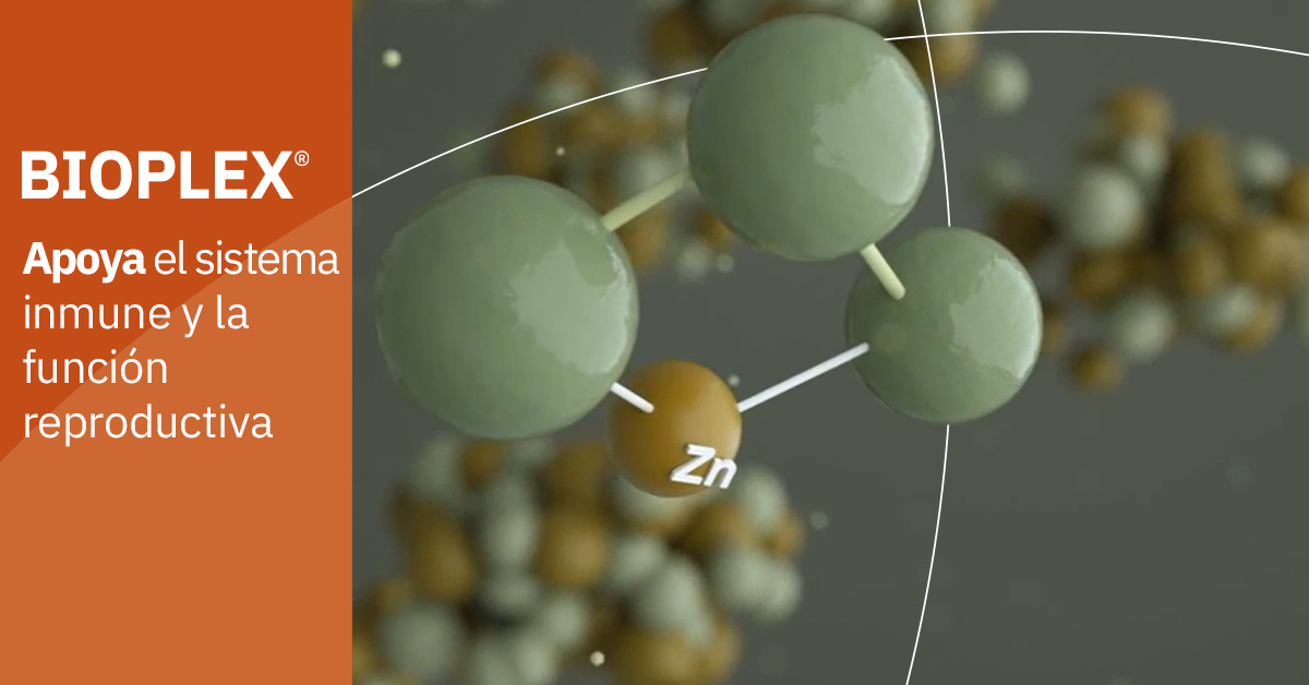 México Estrés calórico soluciones