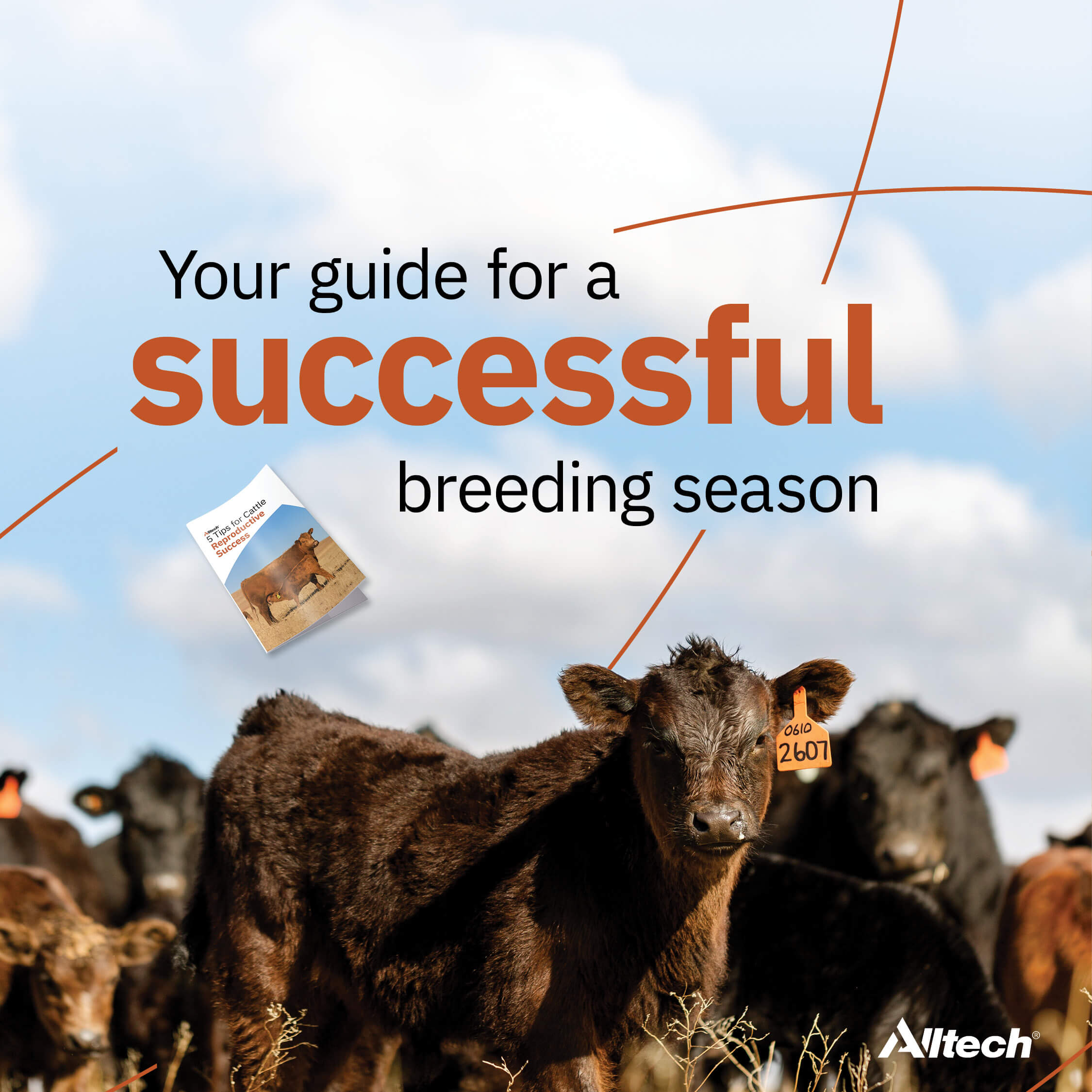 Free reproductive success guide. Download the guide.