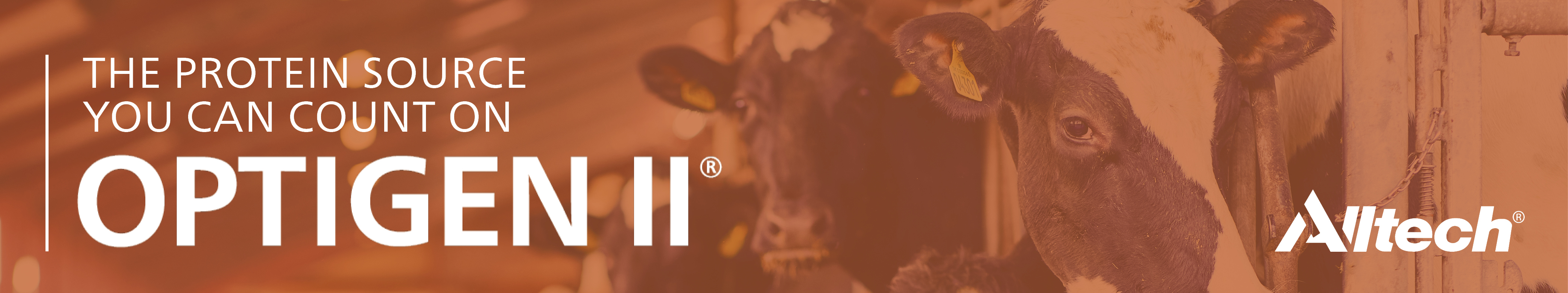 Optigen II® Alltech Canada