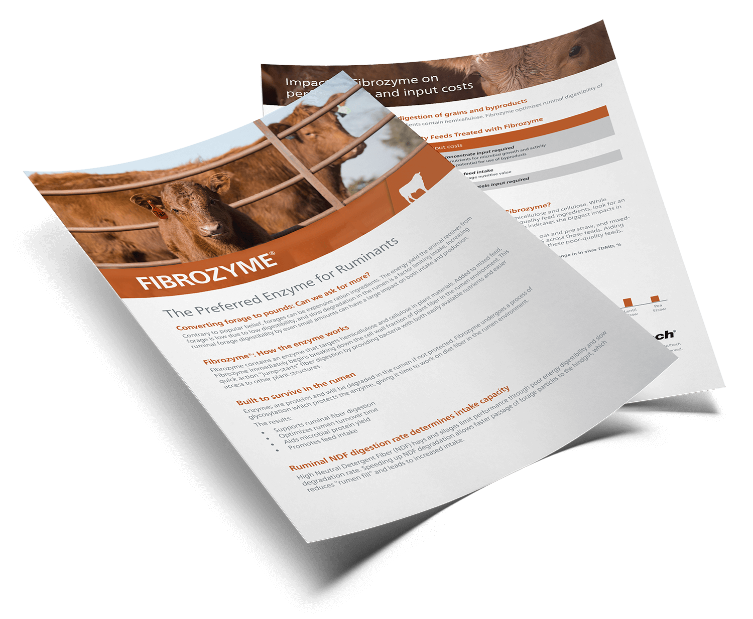 Alltech® Canada Feed Efficiency Video Series | Beef