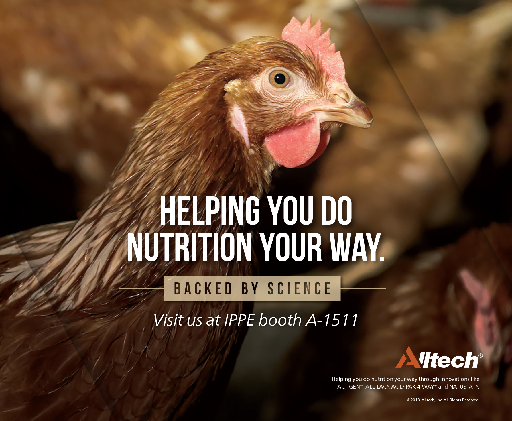 International Production and Processing Expo | IPPE 2020