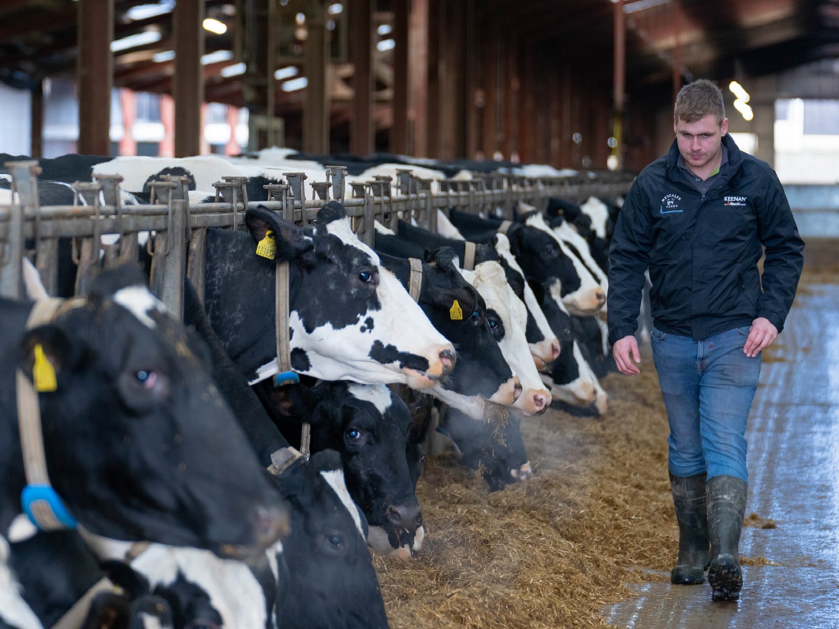 KEENAN Testimonial - Rob Metcalfe