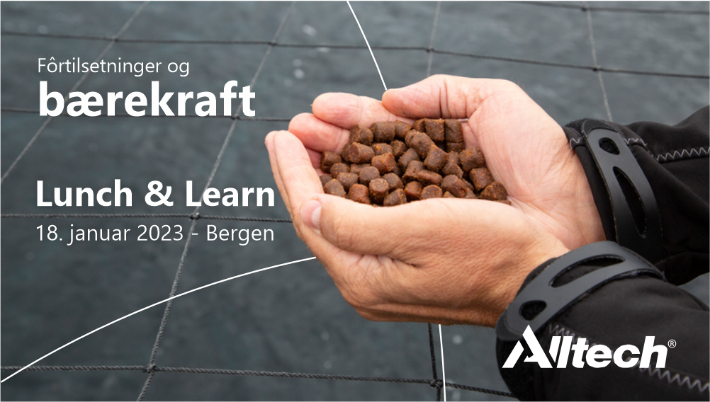 Lunch and Learn 2023